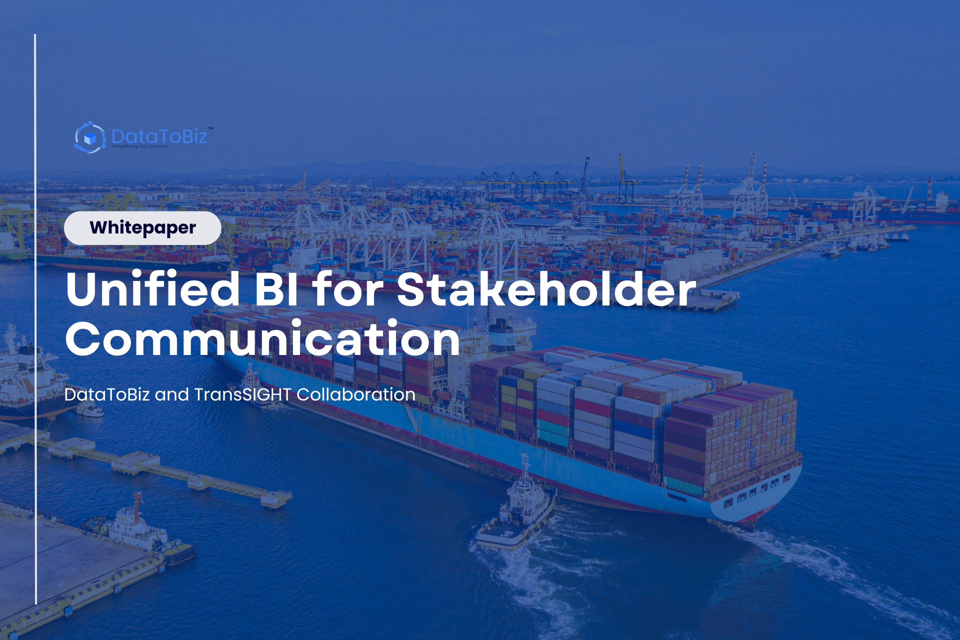 Unified BI for Stakeholder Communication: DataToBiz and TransSIGHT
